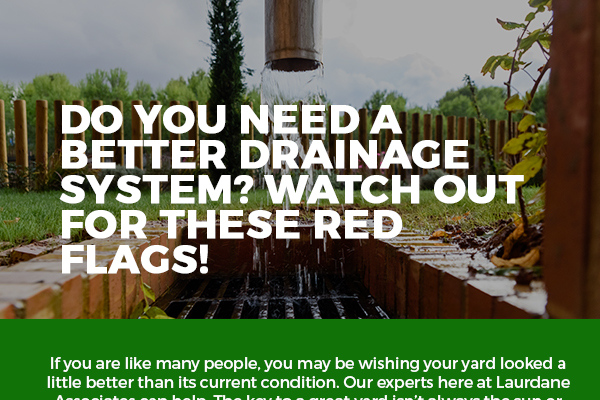 Do You Need a Better Drainage System? Watch Out for These Red Flags ...