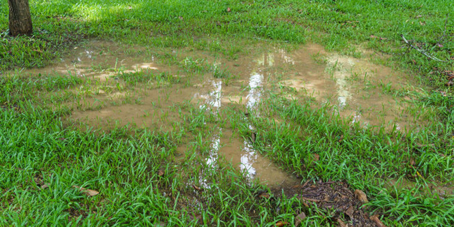 Three Common Causes of Pooling Water | Laurdane Associates